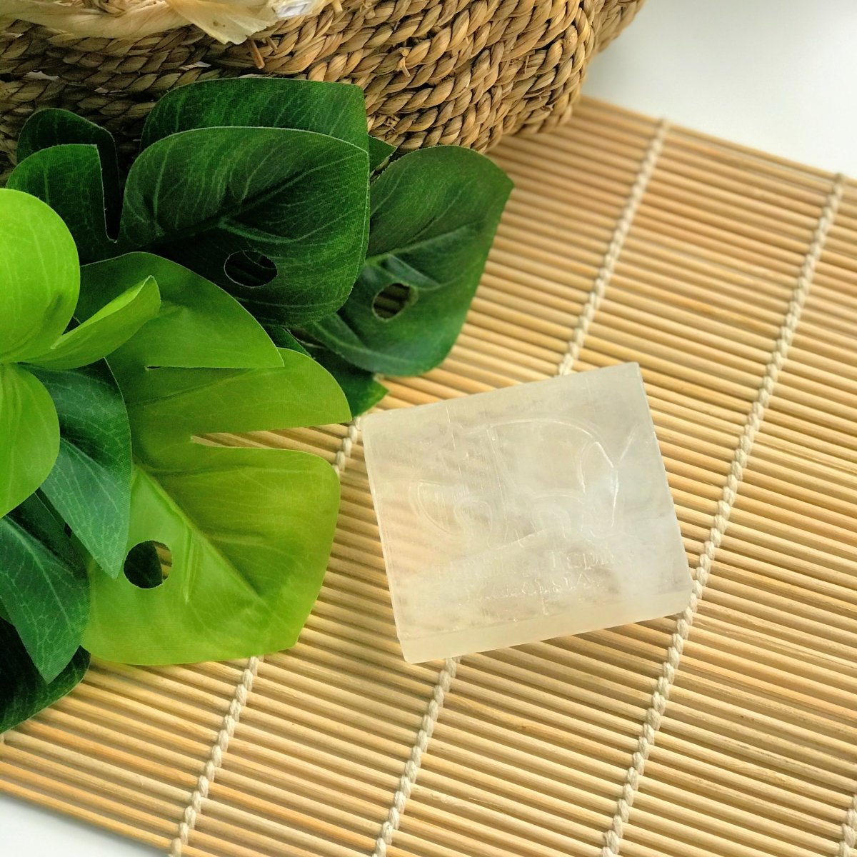 Sea Cucumber Soap Series – Bathing Tapir