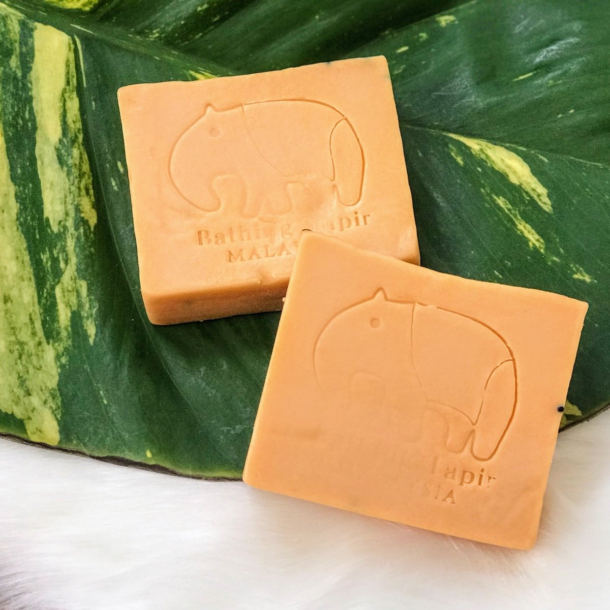 Black Tea Essential Oil Soap - Bathing Tapir