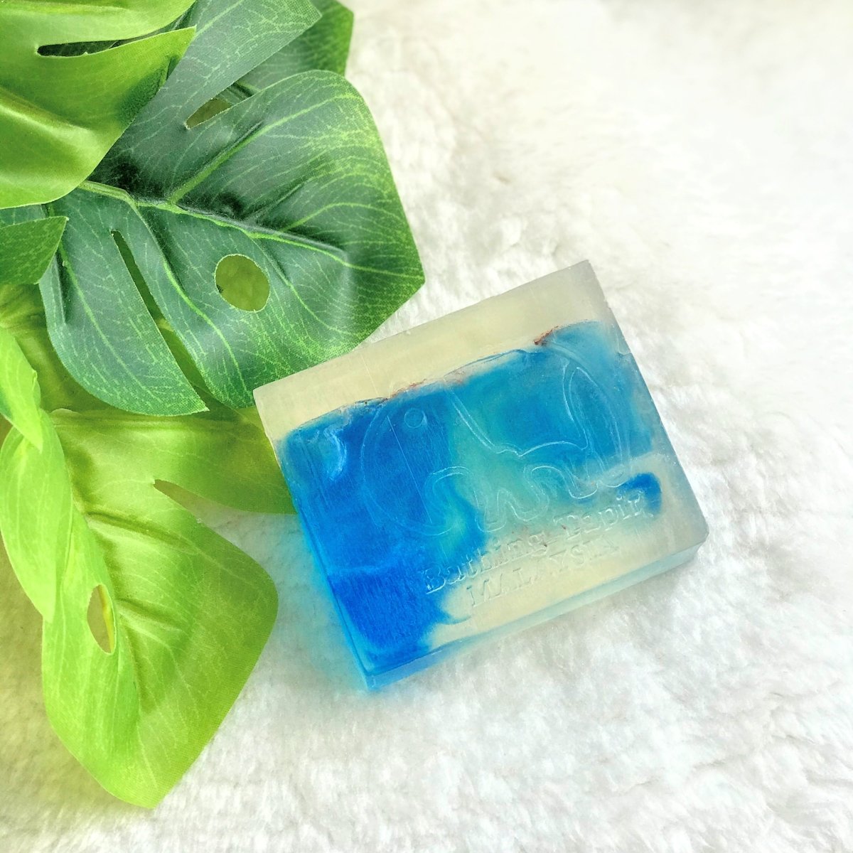 Butterfly Pea Flower Sea Cucumber Soap - Bathing Tapir