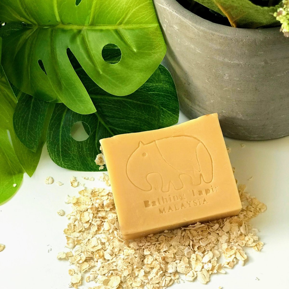 Honey Oat Essential Oil Soap - Bathing Tapir