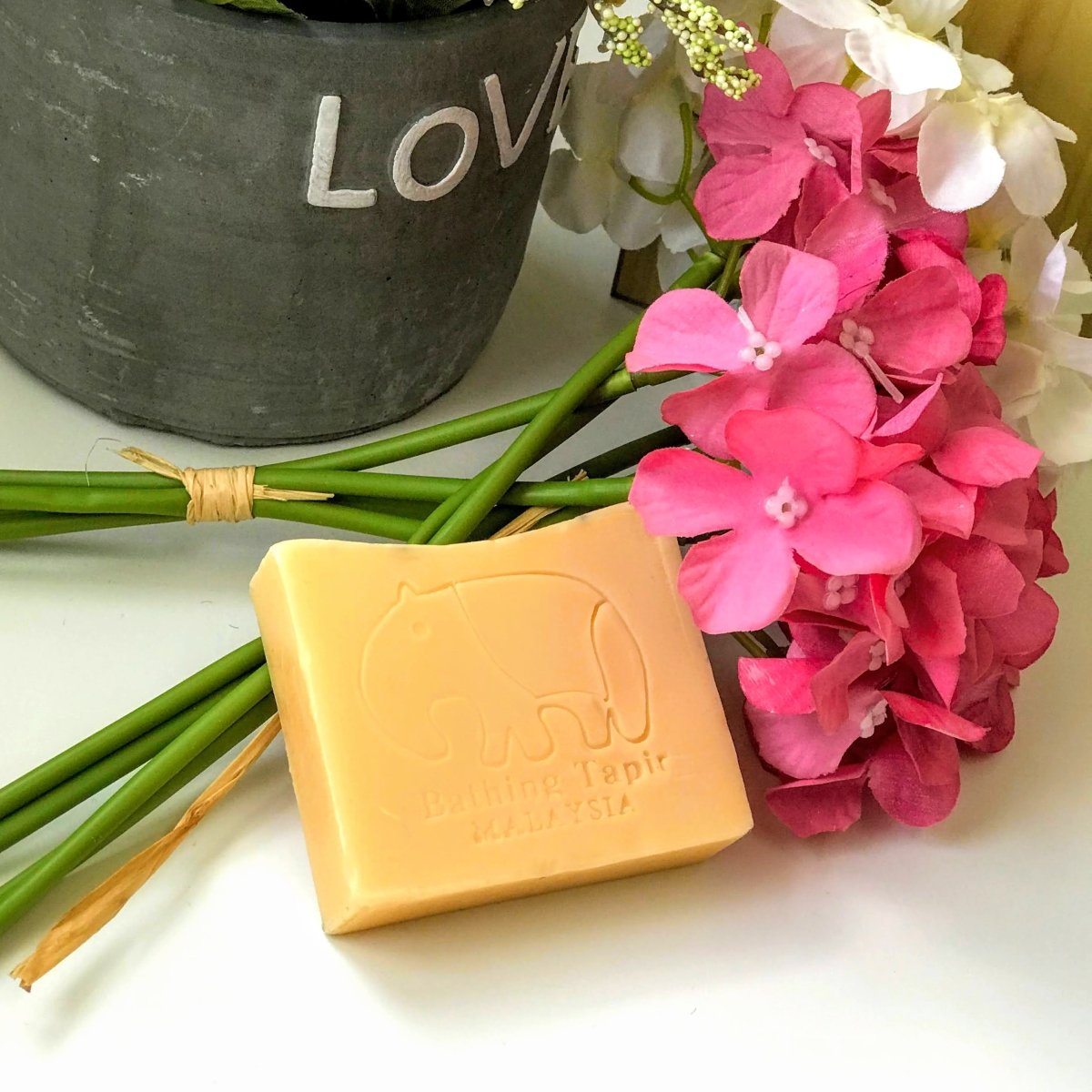 Jackfruit Essential Oil Soap - Bathing Tapir