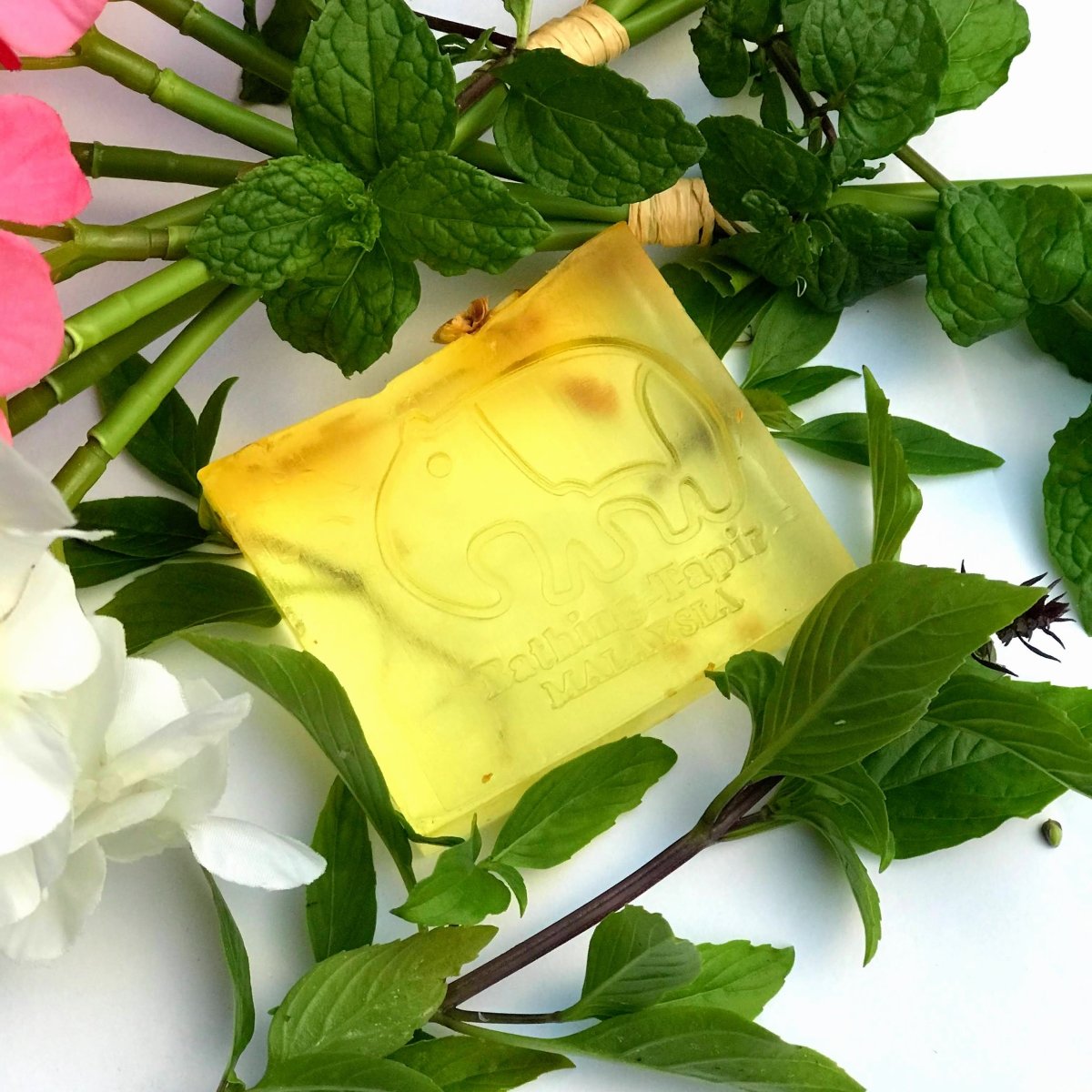 Jasmine Essential Oil Soap - Bathing Tapir