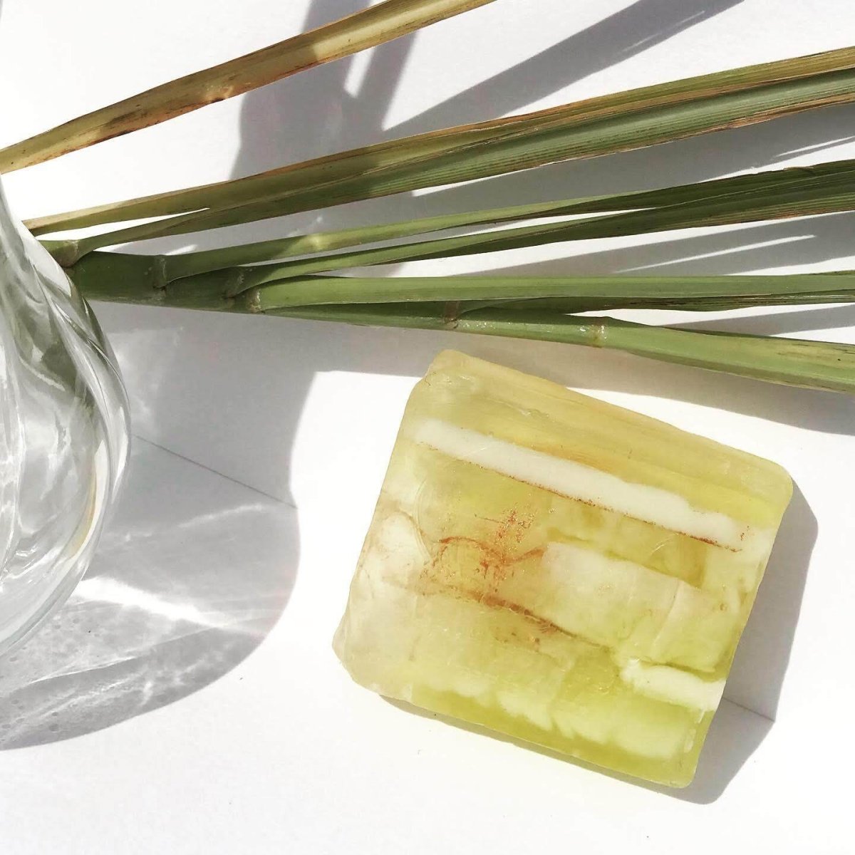 Lemongrass Sea Cucumber Soap - Bathing Tapir