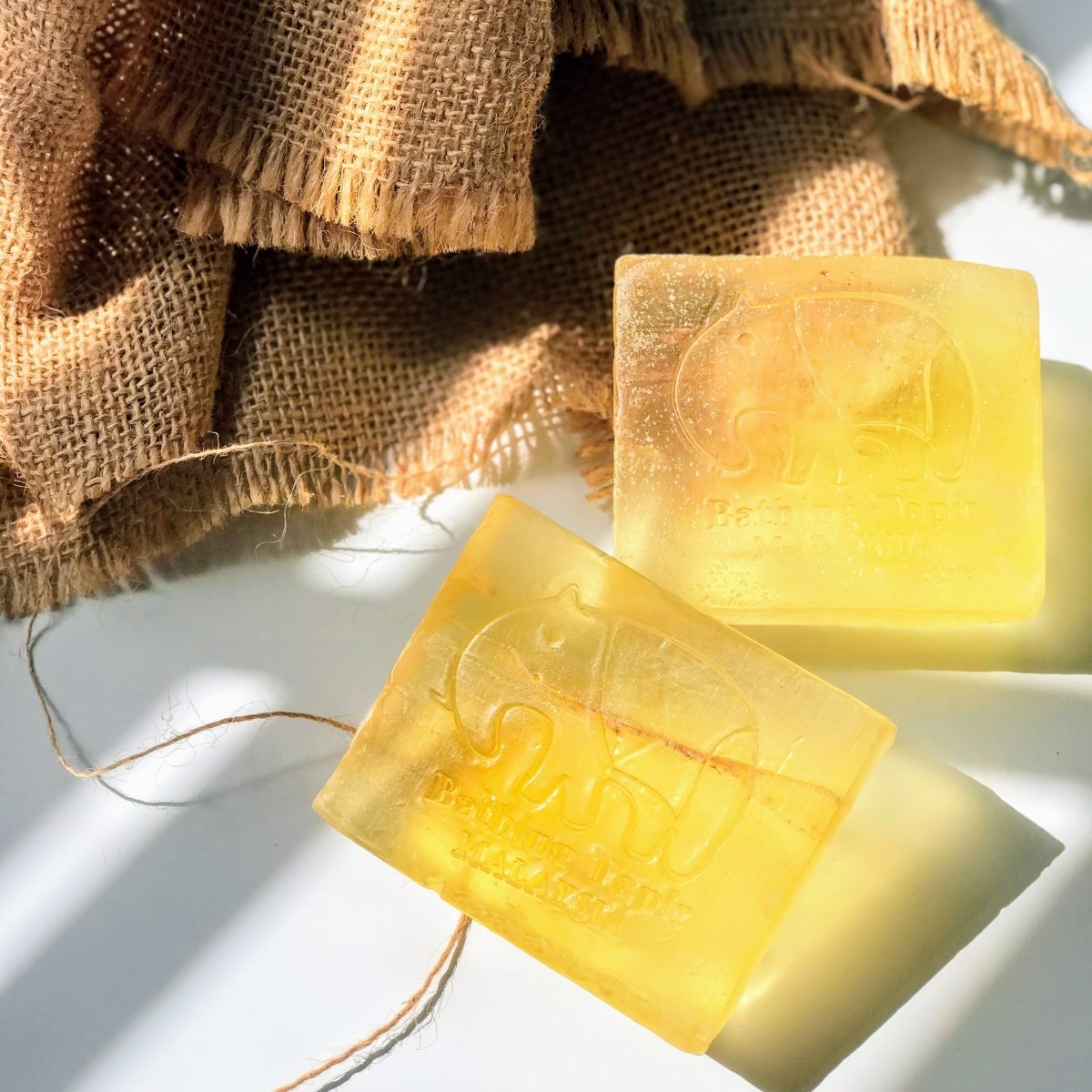Lotus Leaf Sea Cucumber Soap - Bathing Tapir