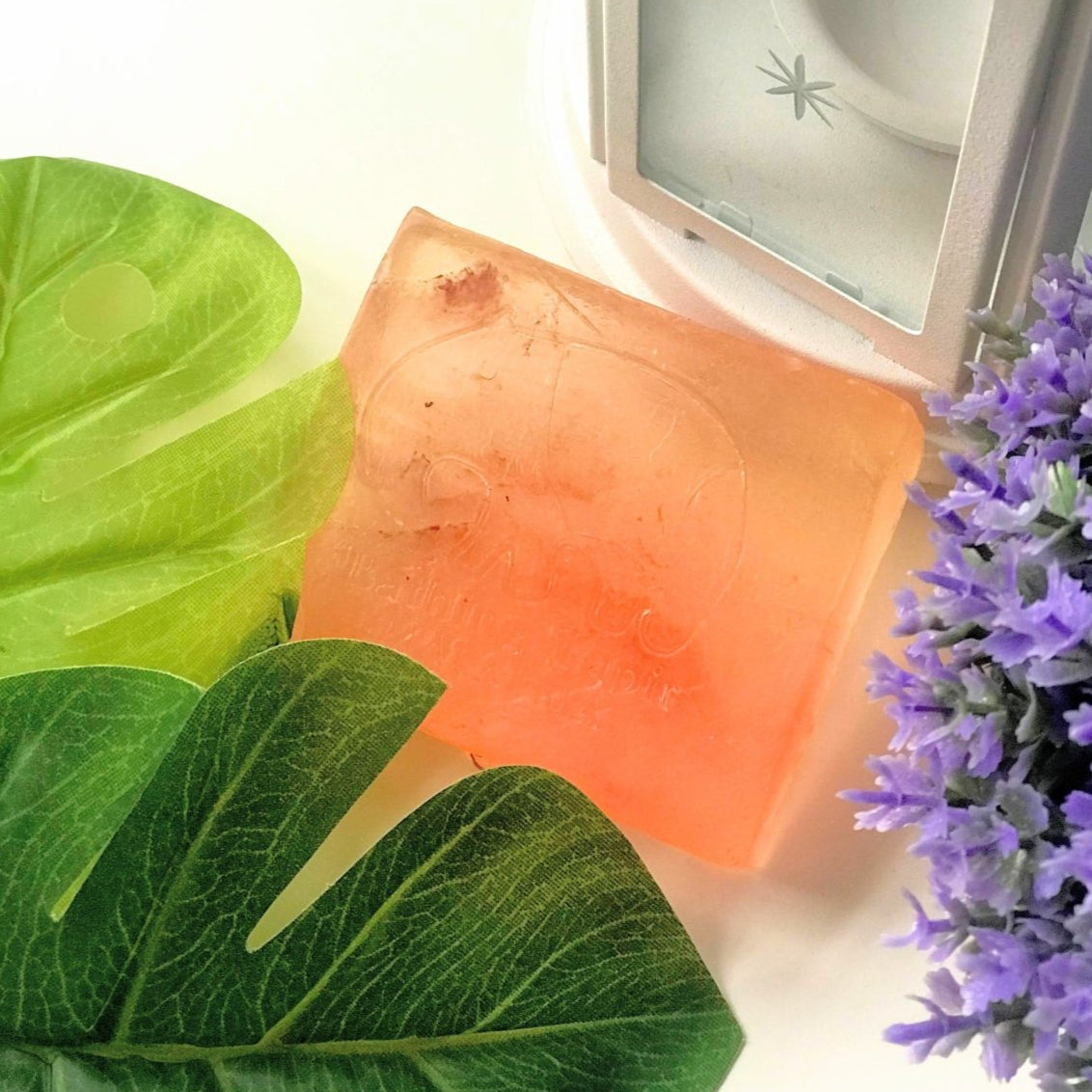 Orchid Sea Cucumber Soap - Bathing Tapir