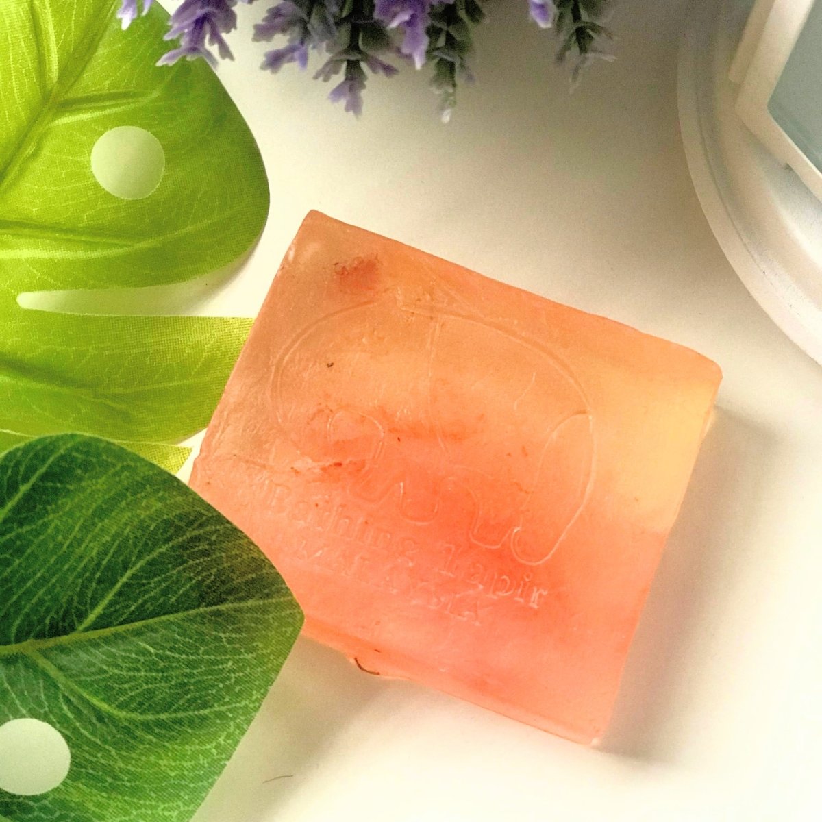 Orchid Sea Cucumber Soap - Bathing Tapir