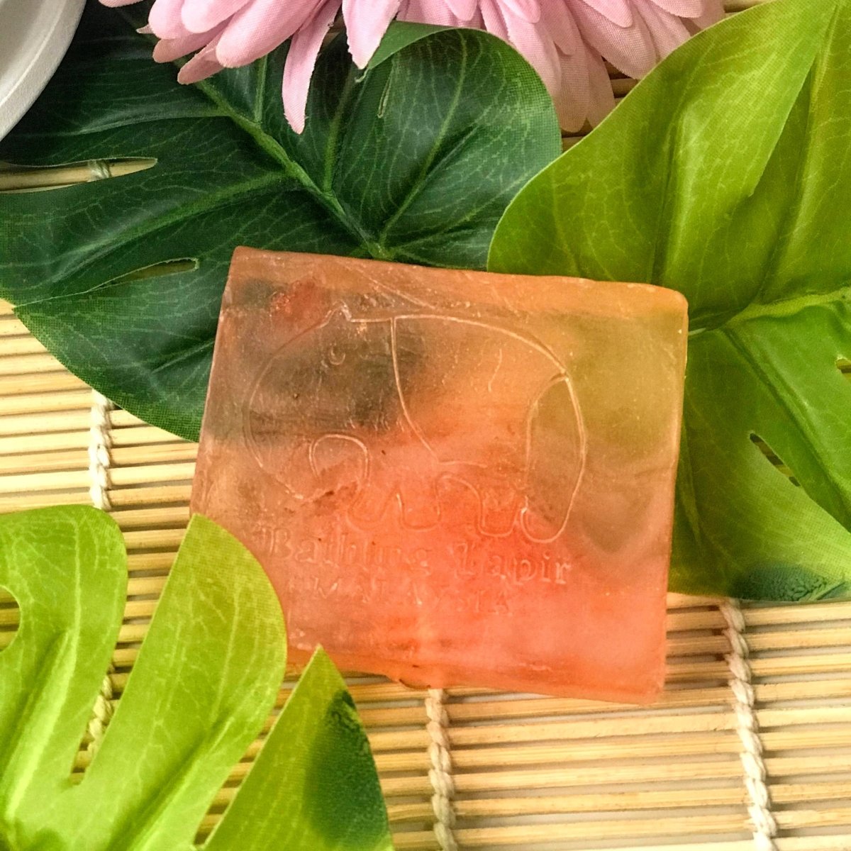 Strawberry Sea Cucumber Soap - Bathing Tapir