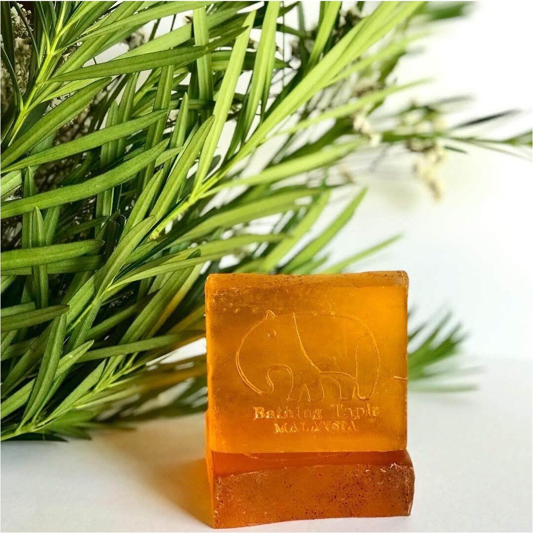 Tea Tree Essential Oil Soap - Bathing Tapir